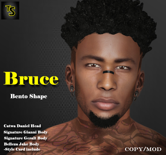 Second Life Marketplace - Bento Shape" Bruce " (Catwa Daniel Head ...