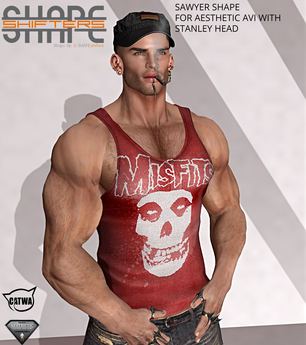 Second Life Marketplace - [SHAPEshifters] SAWYER SHAPE FOR AESTHETIC ...