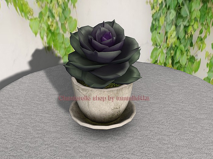 Second Life Marketplace - ROIRO - "Uekimuro" succulent-01 -BOX