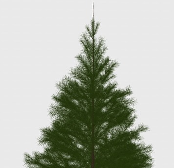Second Life Marketplace - ♥ WF Mesh Pine Tree ♥