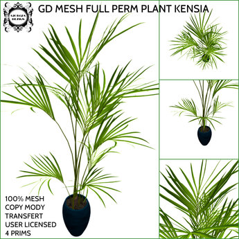 Second Life Marketplace - GD MESH FULL PERM PLANT IN VASE KENSIA