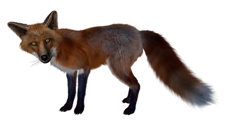 Second Life Marketplace - Sanna The Fox Alpha MP