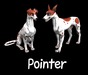 Second Life Marketplace - [KnD]Pointer Orange White MOD