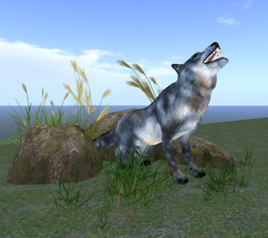 Second Life Marketplace - Animated Howling Wolf (Gray) in a Naturalized ...