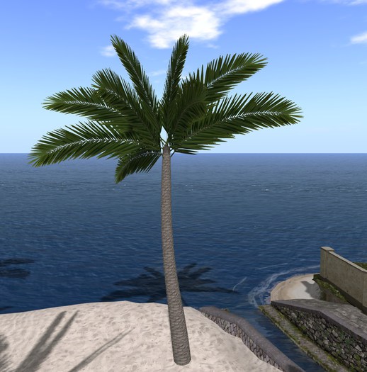 Second Life Marketplace - Mesh Palm Tree