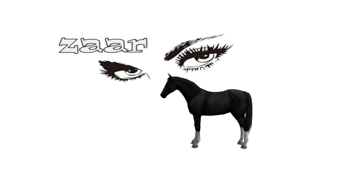 Second Life Marketplace - [ ZAAR] Black Standing Horse Sploder