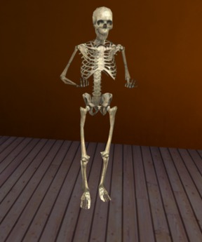 Second Life Marketplace - Skeleton..