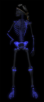 Second Life Marketplace - +++ Bony M the super cool skeleton avatar