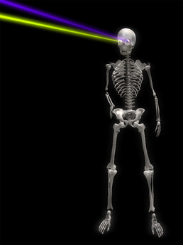 Second Life Marketplace - +++ Bony M the super cool skeleton avatar