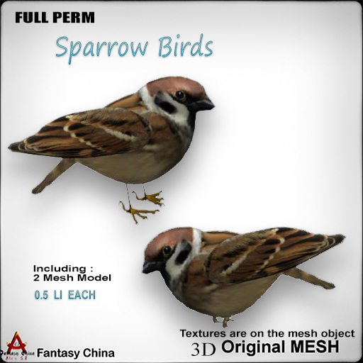 Second Life Marketplace - FC- FULL PERM Mesh Sparrow Birds