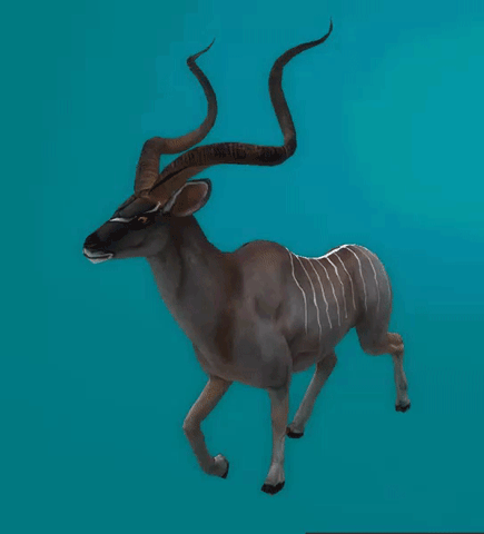 Second Life Marketplace - Full Perm Animated Kudu Antelope Mesh