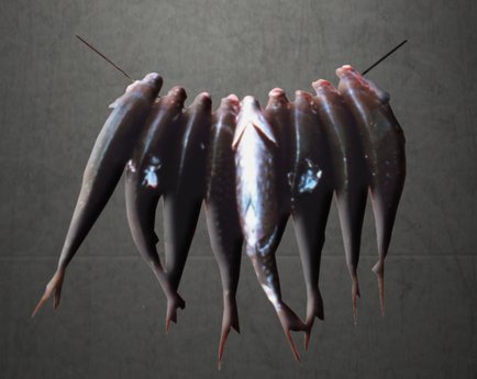 Second Life Marketplace - Maruti Textures String of Fish Alpha Texture ...