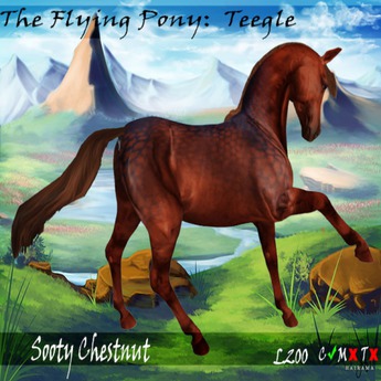 Sooty Chestnut Horse