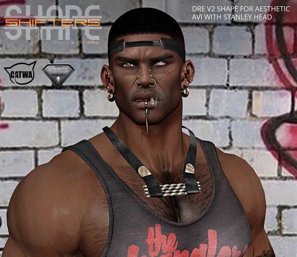 Second Life Marketplace - [SHAPEshifters] DRE V2 SHAPE FOR AESTHETIC ...