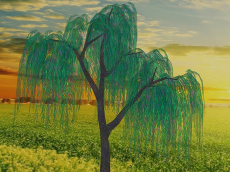 Second Life Marketplace - +Inner Mantra+ Willow & Wisp's,willow trees