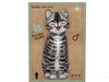 Second Life Marketplace - KittyCatS Box - 8 T - M - Toyger - Silver