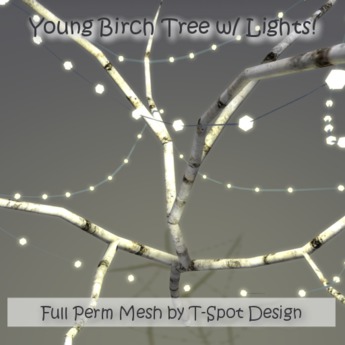 Second Life Marketplace - T-Spot Mesh - Young Birch Tree w/ Light ...