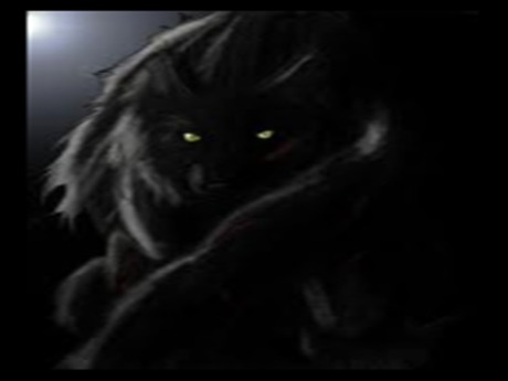 Second Life Marketplace - Picture Frames - Wolves (8 different types)