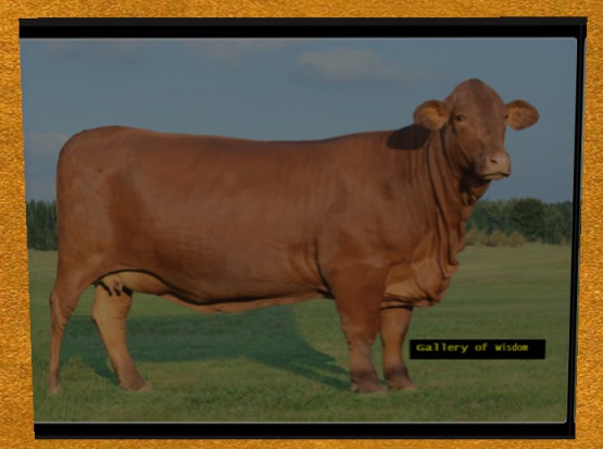 Second Life Marketplace - Israel Holy cow - Prophecy fulfilled