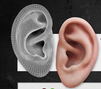 Second Life Marketplace - Demo ^^Swallow^^ Ears HD - High Definition 0.1