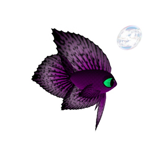 Second Life Marketplace - (7S) Common Fish: Magenta Betta