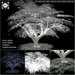 Second Life Marketplace - GD MESH BIG TREE LEAVES LIGHT SNOW MOVING
