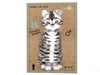 Second Life Marketplace - KittyCatS Box - 9 T - M - Toyger - Silver