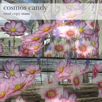 Second Life Marketplace - Samsa . Cosmos flower pack