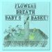 Second Life Marketplace - DFS Flowers - Baby`s Breath Basket - 5 Uses