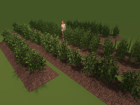 Second Life Marketplace - 1 prim full perm "Plants in Row" sculpt maps ...