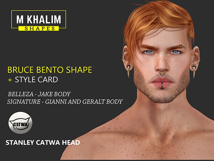 Second Life Marketplace - Bruce Bento Shape for Catwa Stanley Head ...
