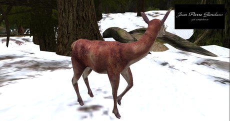 Second Life Marketplace - Reindeer mesh