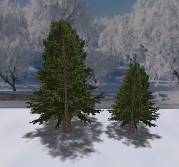 Second Life Marketplace - .:GBH:. DEMO Mesh pine trees