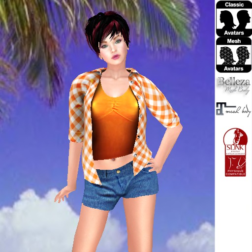 Second Life Marketplace - @AdReNaLiZeD@ Robin Orange
