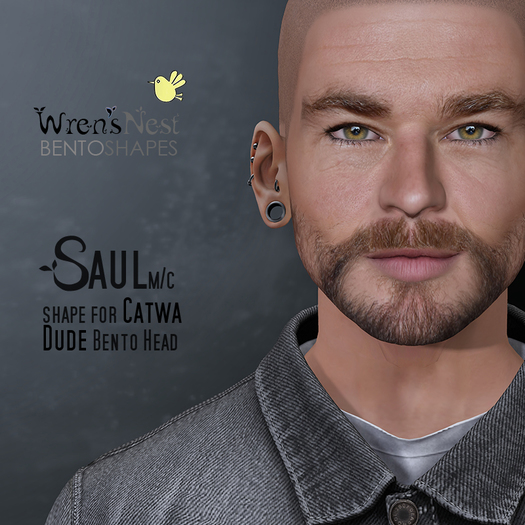 Second Life Marketplace - { wren's nest } Saul Shape (Catwa Dude & Sig ...