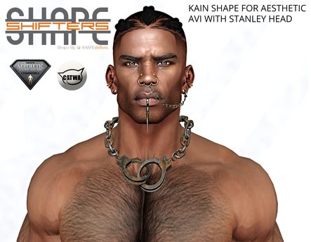 Second Life Marketplace - [SHAPEshifters] KAIN SHAPE FOR AESTHETIC AVI ...