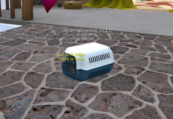 Second Life Marketplace - BB GH Box Female Starter