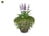 Second Life Marketplace - Mesh Wild Flowers Pot Junia