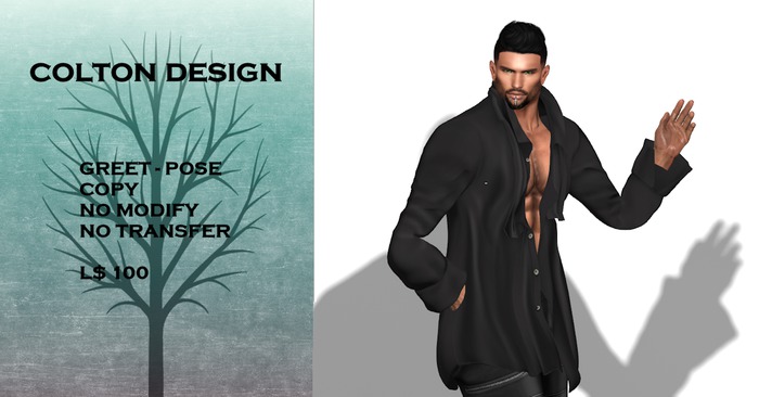 Second Life Marketplace - Colton Design - Greet Pose