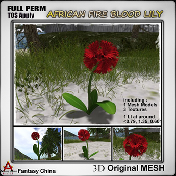 Second Life Marketplace - FC- FP Mesh African Fire Blood Lily Flower