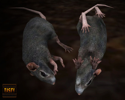 Second Life Marketplace - ..::Tasty::.. Dead Rat Corpse Pack //FULL ...
