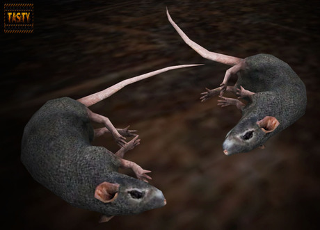 Second Life Marketplace - ..::Tasty::.. Dead Rat Corpse Pack //FULL ...
