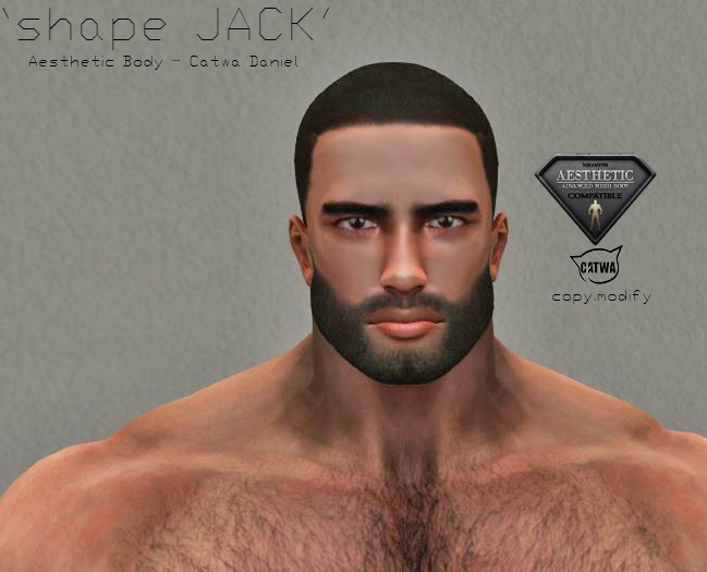 Second Life Marketplace - Aesthetic Shape JACK face/body/eyebrows shape