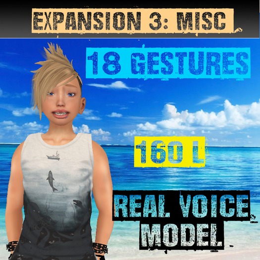 Second Life Marketplace - Expansion 3: Misc Young Boy Gestures