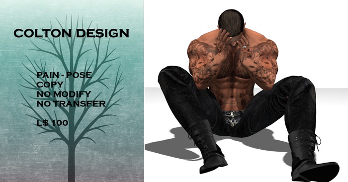 Second Life Marketplace - Colton Design - Pain Pose