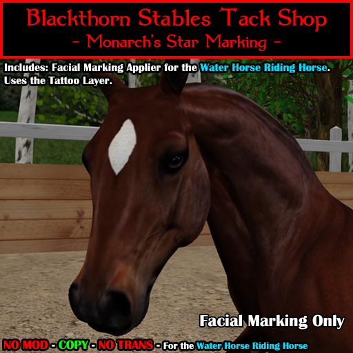 Second Life Marketplace - [BTS-WHRH] Monarch's Star Facial Marking (boxed)