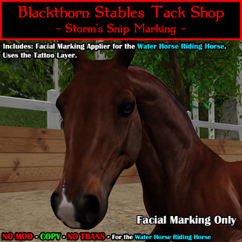 Second Life Marketplace - [BTS-WHRH] Storm's Snip Facial Marking (boxed)