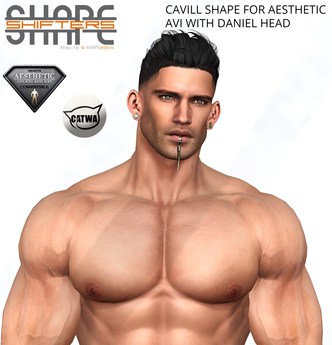 Second Life Marketplace - [SHAPEshifters] CAVILL SHAPE FOR AESTHETIC ...