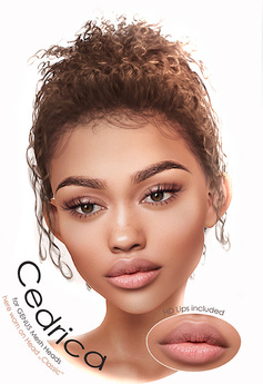 Second Life Marketplace - DeeTaleZ DEMO *Appliers* GENUS Head "Cedrica ...
