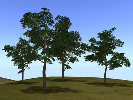 Second Life Marketplace - !!! 8 Trees